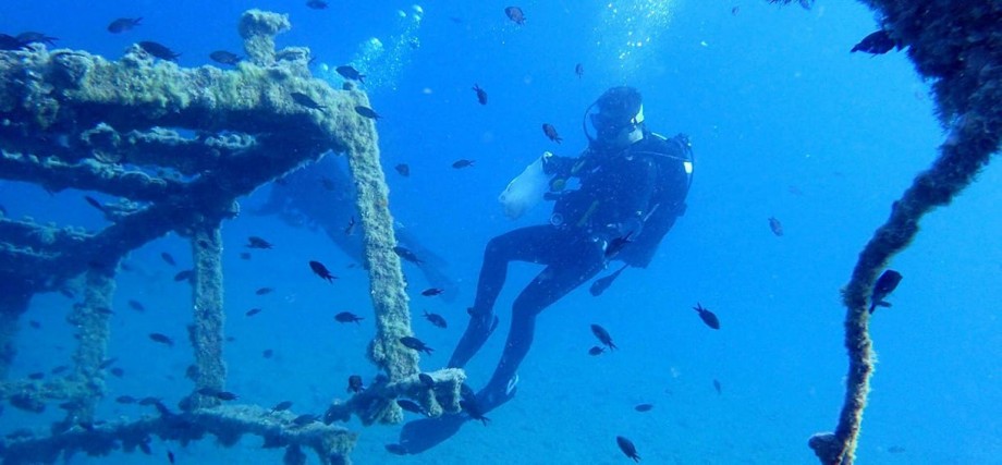 Best Dive Resorts, Hotels & Vacations in 2026 - tripbirdie.com